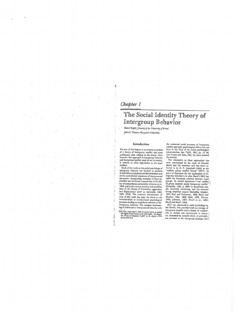 Social Identity Theory | PDF