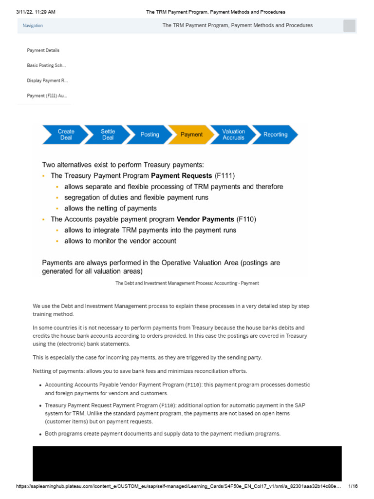 The TRM Payment Program, Payment Methods and Procedures | PDF ...