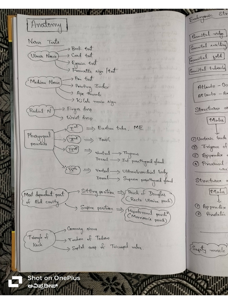 Anatomy 20th Notebook | PDF