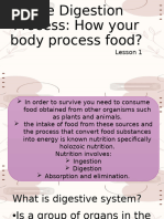 Digestive and Respiratory System Overview | PDF | Human Digestive ...