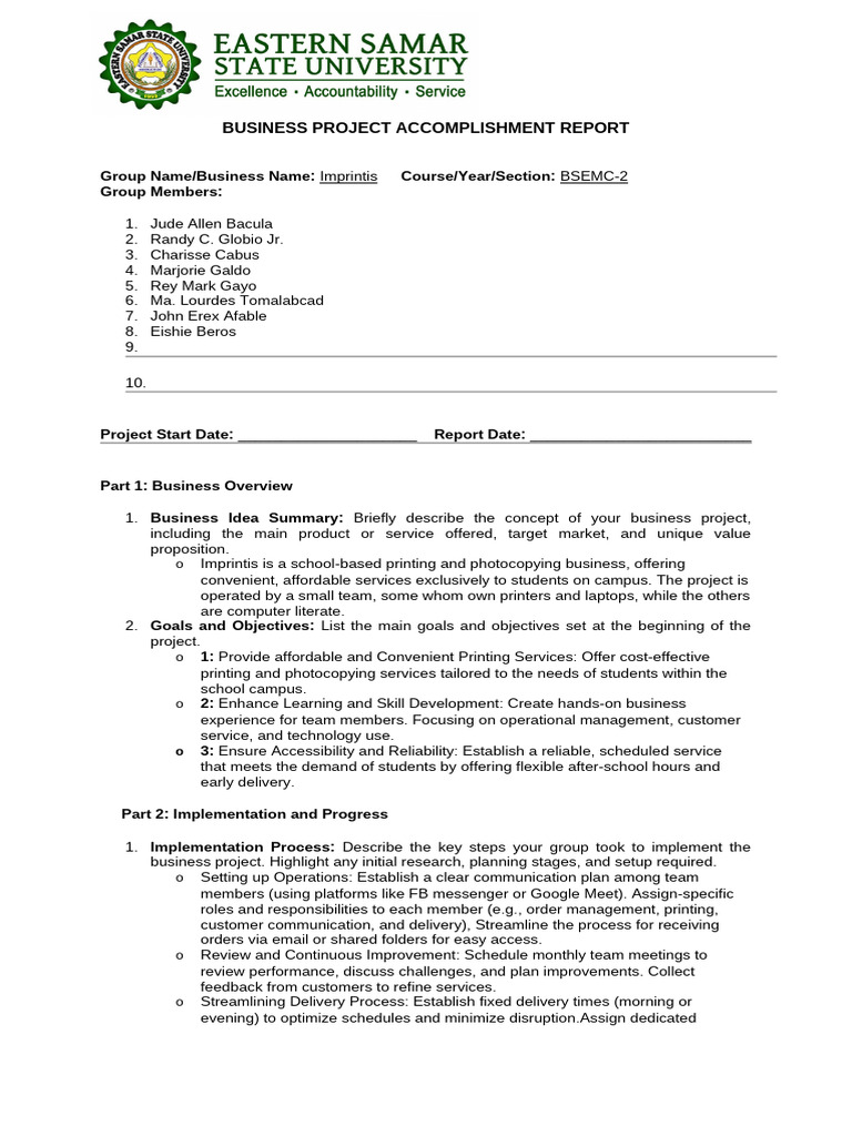 Business Project Accomplishment Report | PDF | Marketing