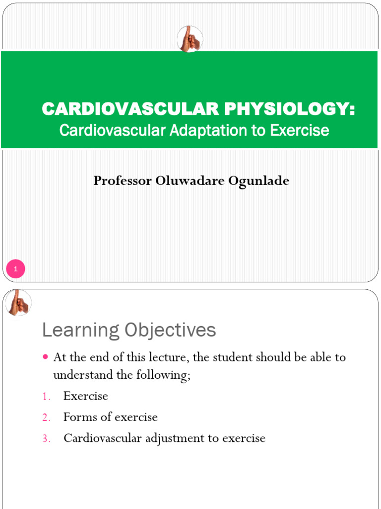 Cardiovascular Adaptation to Exercise | PDF | Physiology | Sports Science