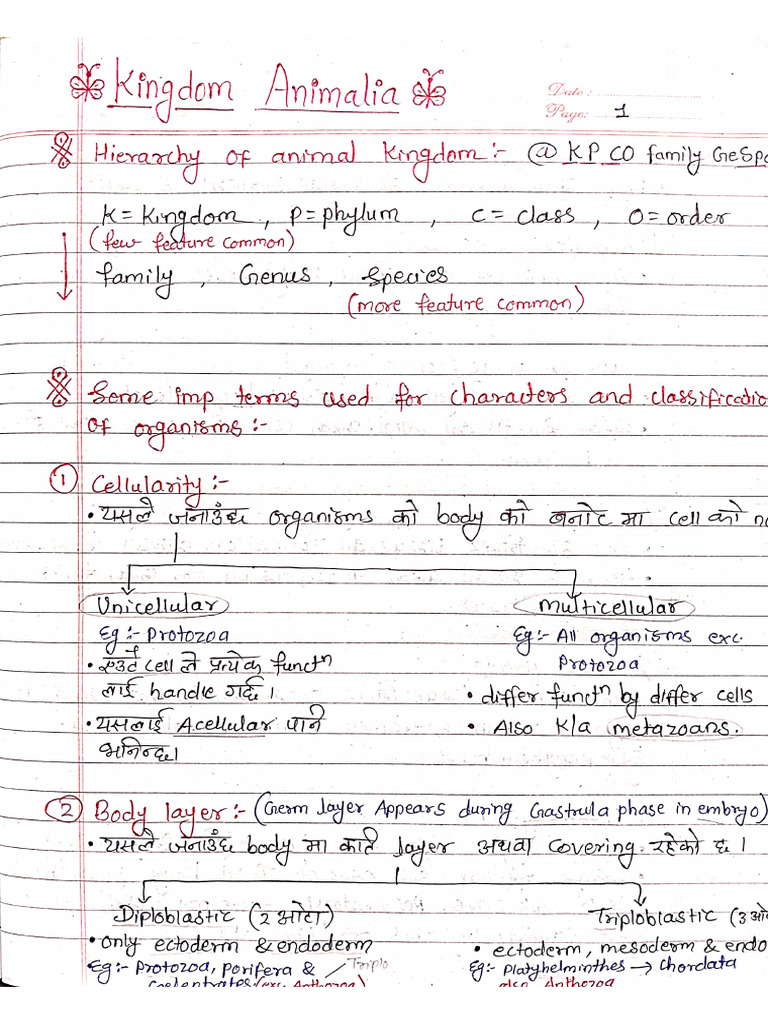 Kingdom Animalia Complete Summary ? | PDF