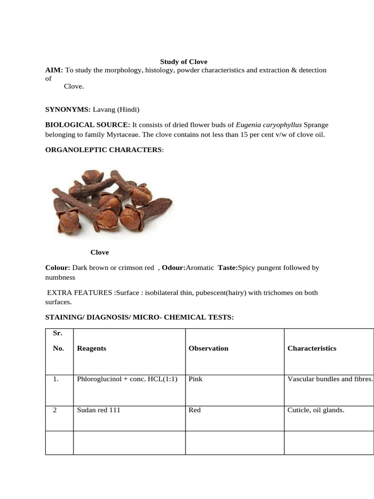 5. clove | PDF | Tissue (Biology) | Epithelium