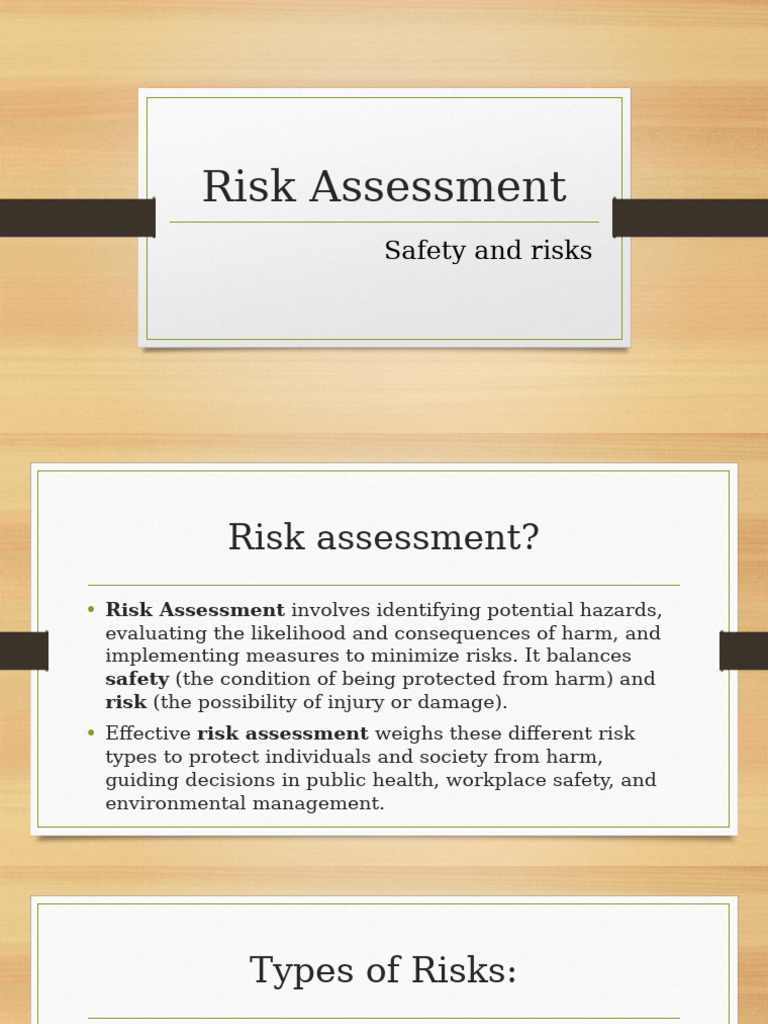 Risk Assessment | PDF