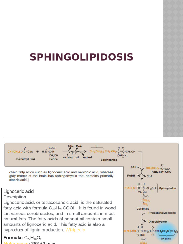 Lignoceric Acid Overview and Properties | PDF