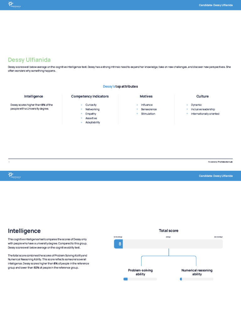 Assessmentreport | PDF | Intelligence | Leadership