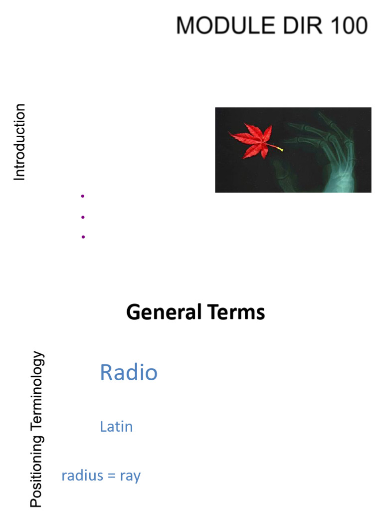Radiographic Terminology Guide | PDF | Anatomical Terms Of Location