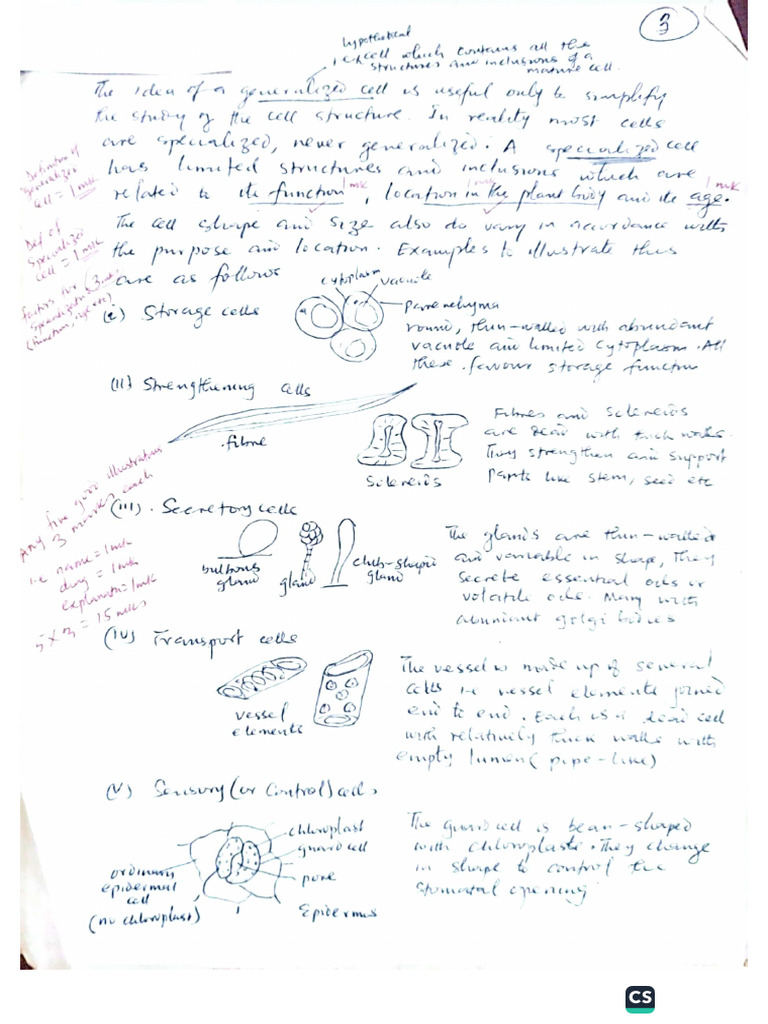 BOT 301 Specialized Cells | PDF