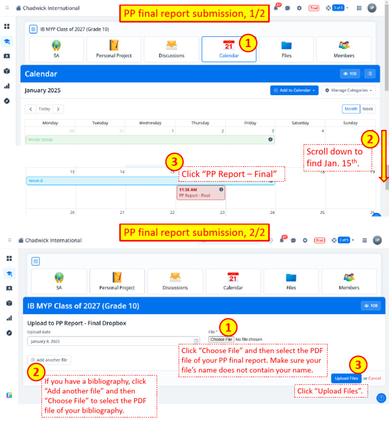 Final Report Submission Guide | PDF