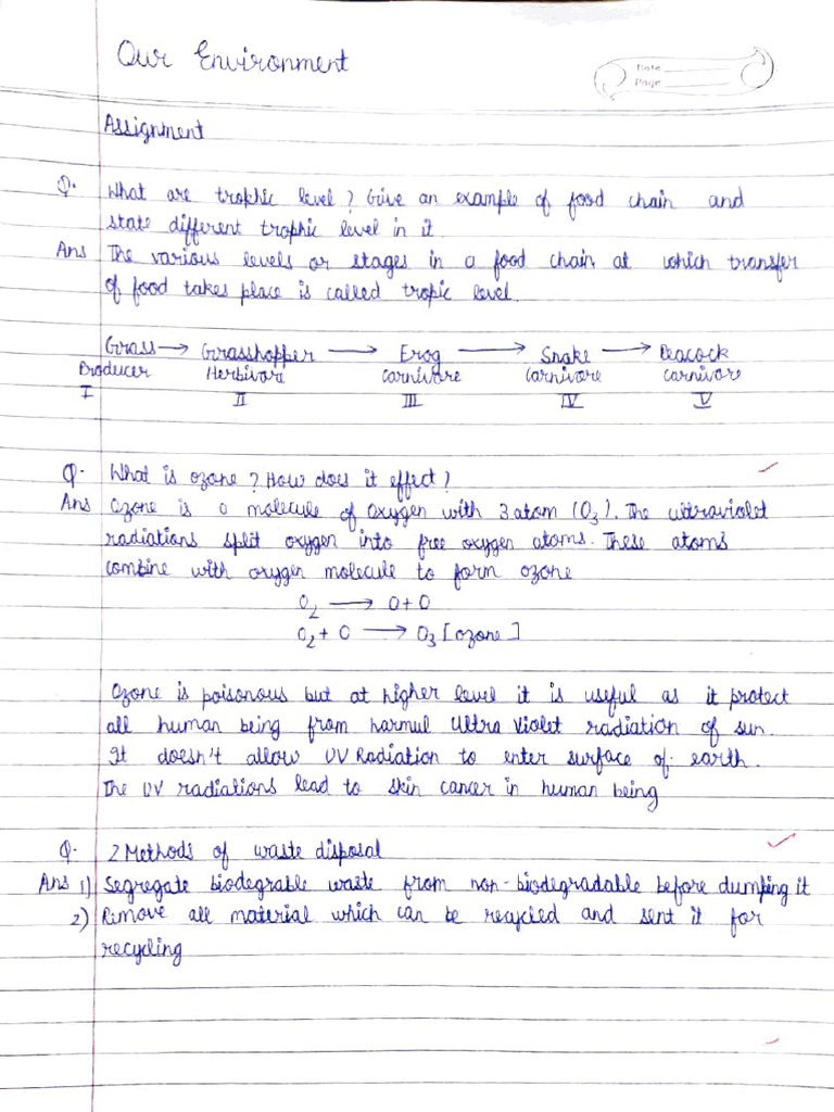 Assignment Our Environment | PDF