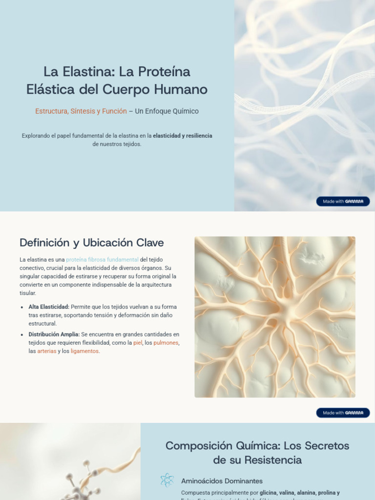 Estructura y Función de la Elastina | PDF | Biología Molecular | Biología