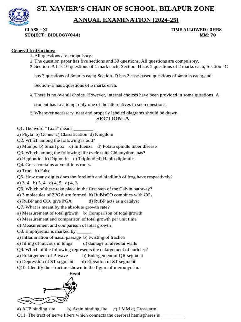 Class XI Biology Exam Paper 2024-25 | PDF | Human Brain | Brain