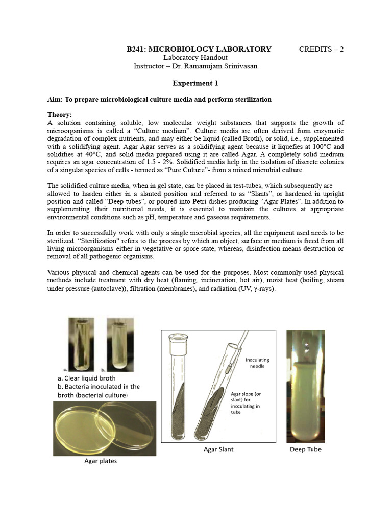 Microbio_Exp1.docx | PDF | Growth Medium | Agar