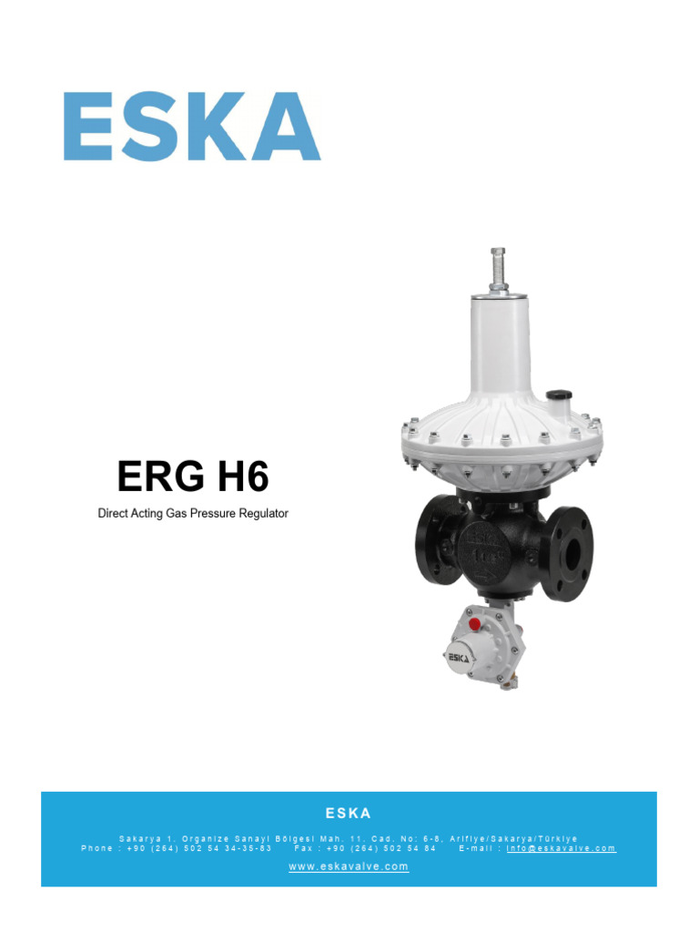 ERG H6 Gas Pressure Regulator Guide | PDF | Gases | Pressure