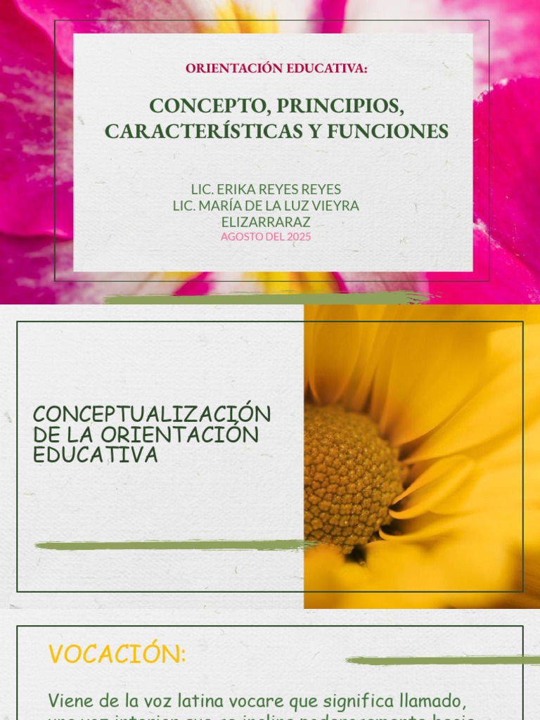 Definici-N - Principios y Funciones de La O.E. 2025 | PDF | Sicología | Trabajo Social