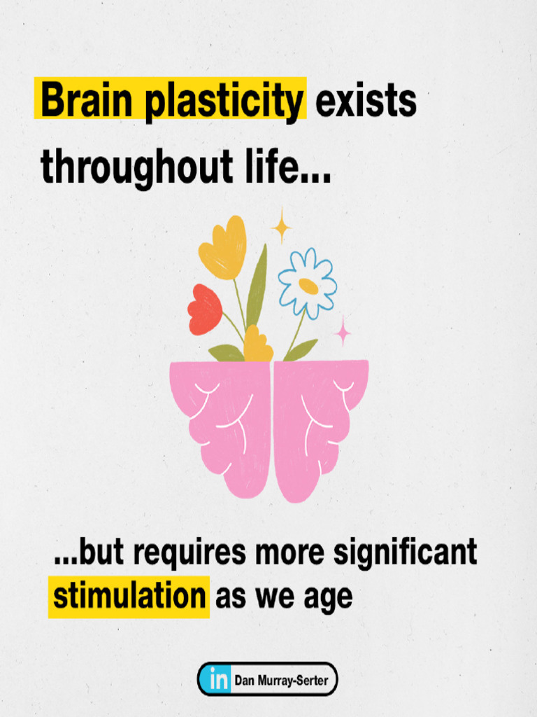 Brain Plasticity Exists Throughout Life | PDF
