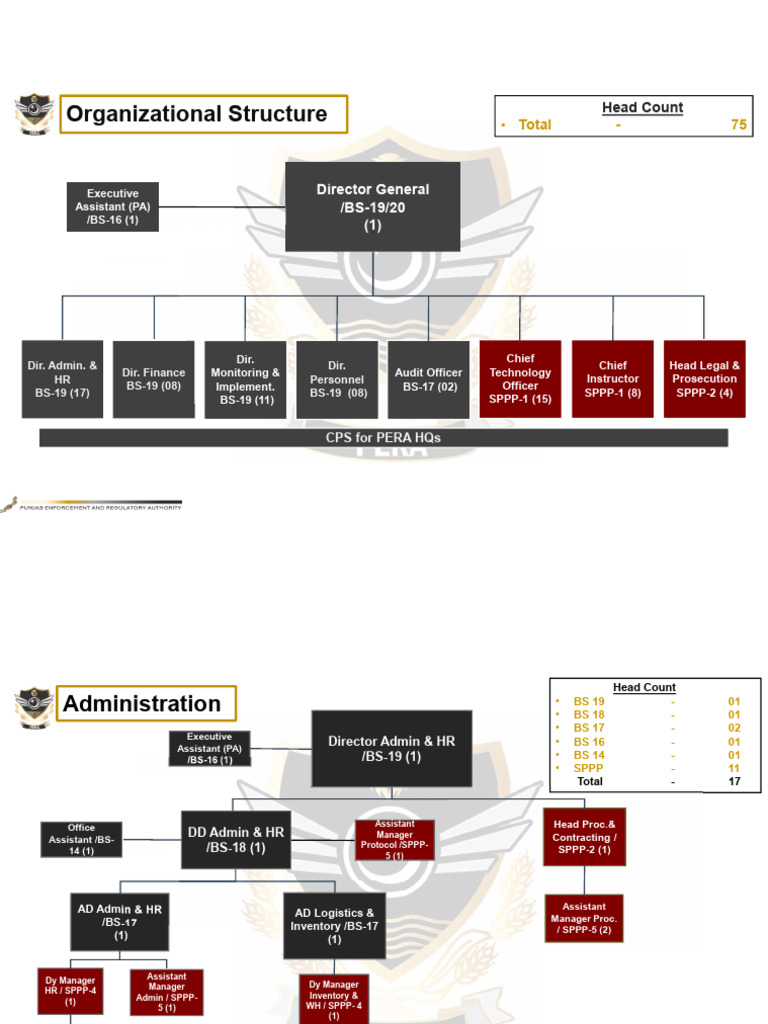 Approved Organogram - PERA 2025 | PDF | Crimes | Crime & Violence