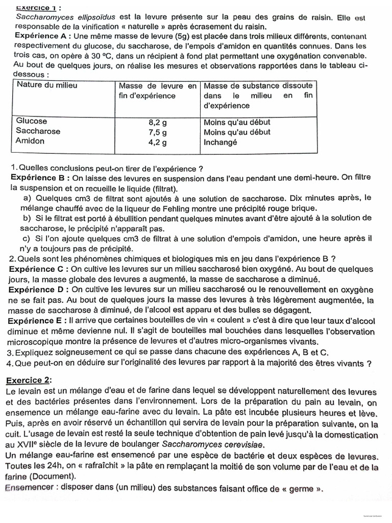 1S1 SVT Exercices Fermentation | PDF