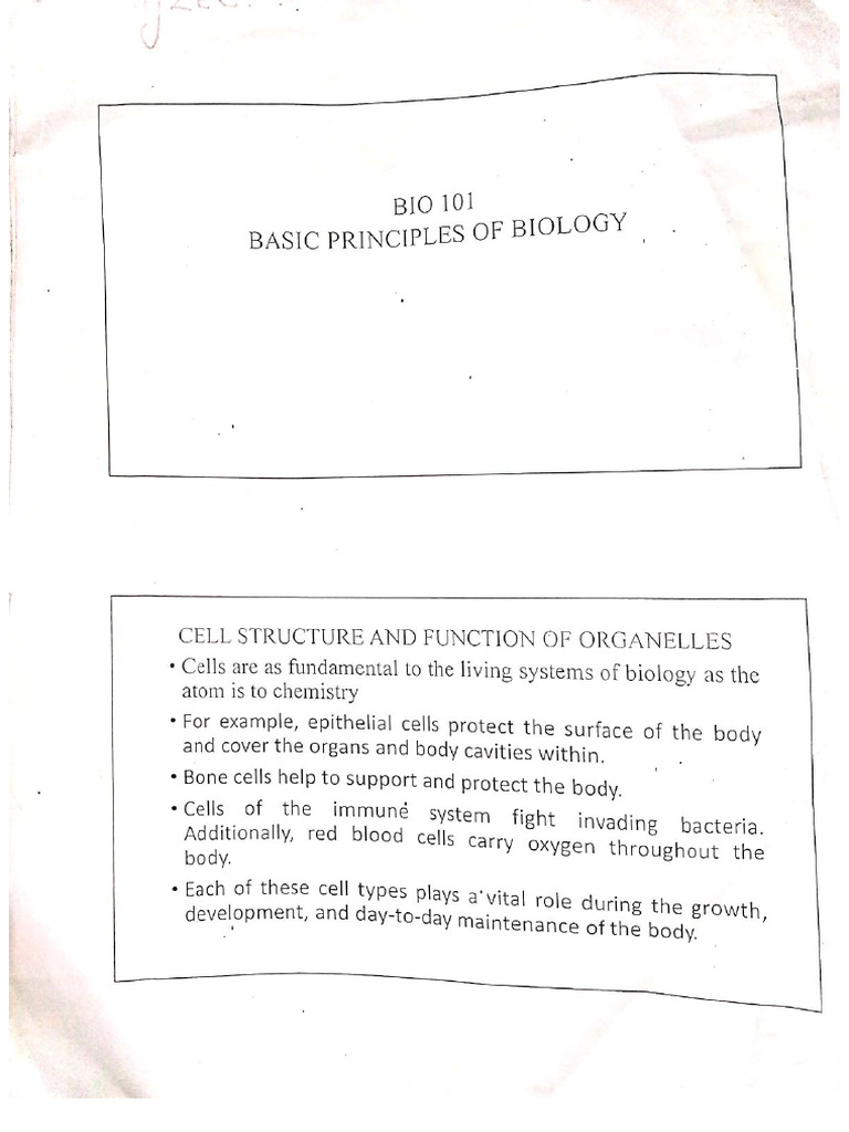 BIO 101 CELL STRUCTURES AND FUNCTIONS OF ORGANELLES - 1ST MATERIAL (Original) - 091708 | PDF