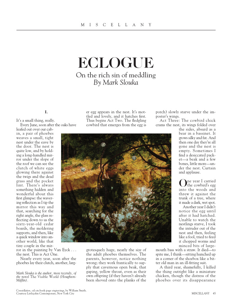 The Cowbird's Nest: Nature's Cruelty | PDF