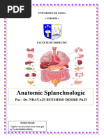 Anat Physio ORL | PDF | Oreille | Système vestibulaire