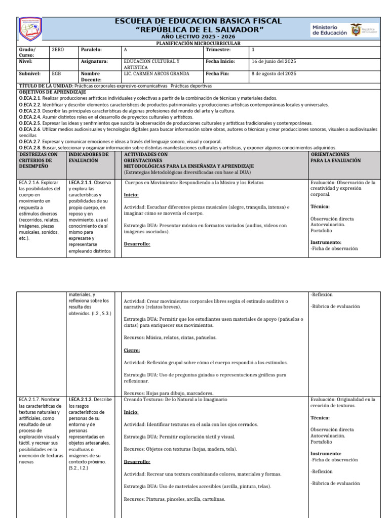 Planificación Educativa 3° Grado ECA | PDF | Metacognición | Pinturas