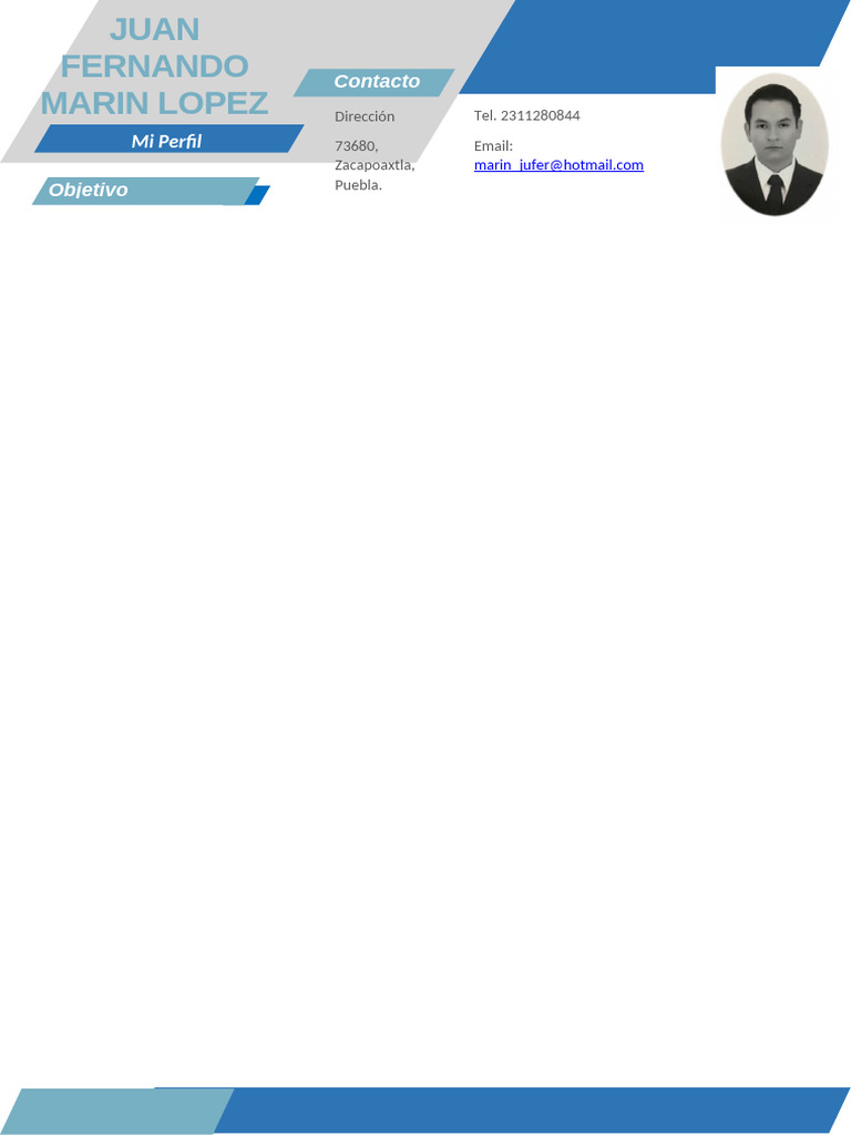 Plantilla Curriculum Vitae Enero 2020 | PDF