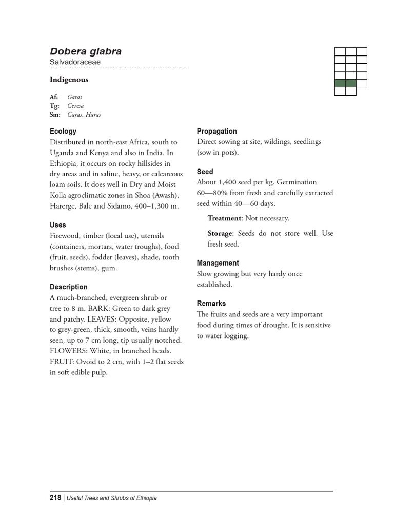 Dobera Glabra ETH | PDF