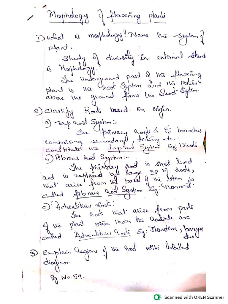 Morphology of Flowering Plants-compressed (1) | PDF