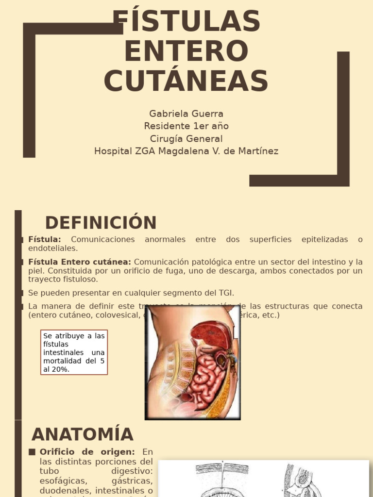 Clasificación y manejo de fístulas enterocutáneas | PDF | Septicemia ...