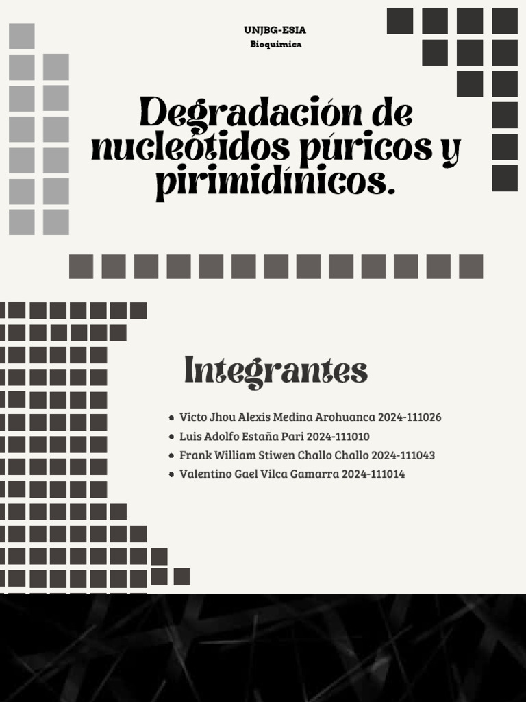Degradacion de Nucleotidos Puricos y Pirimidinicos | PDF | Nucleótidos ...
