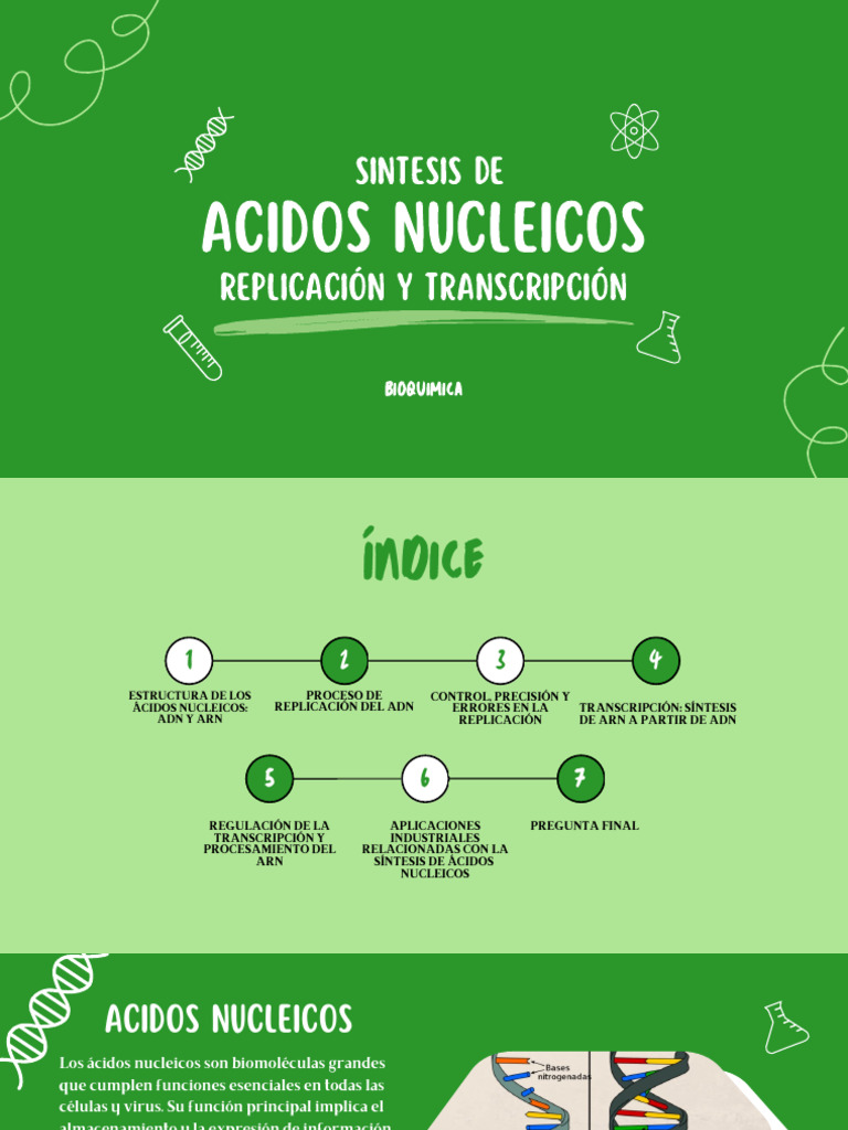 Sintesis de Ácidos Nucleicos, Replicación y Transcripción | PDF | Rna | Adn