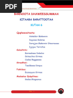 Hiibboo Afaan Oromoo | PDF