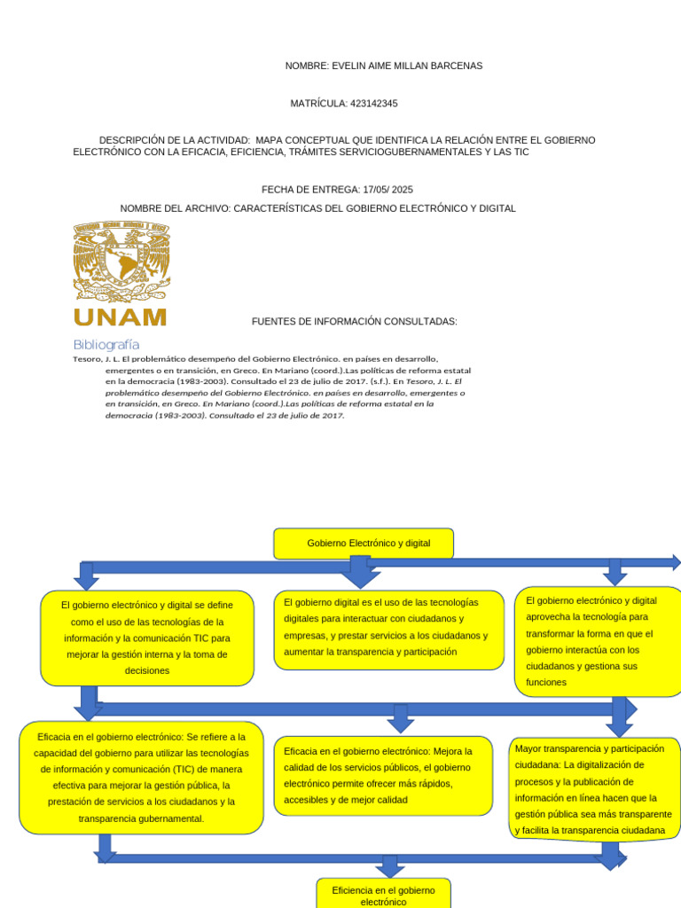 Características de Los Gobierno1 | PDF | Gobierno E | Informática