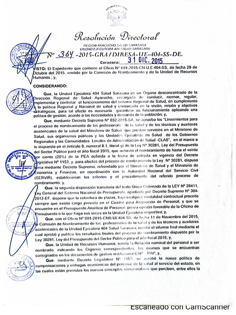 Resolución de Nombramiento | PDF