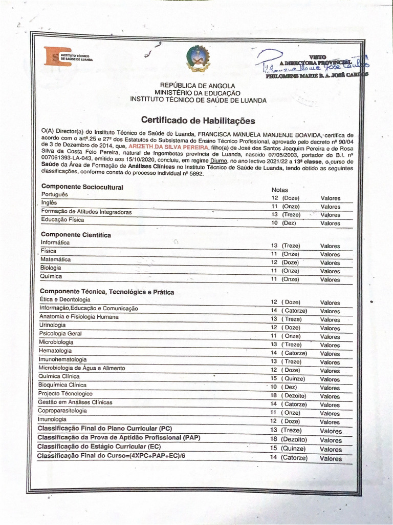 Documento Digitalizado | PDF