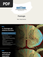 Tacto Protopático y Epicrítico en Kinesiología | PDF | Piel | Neurobiología