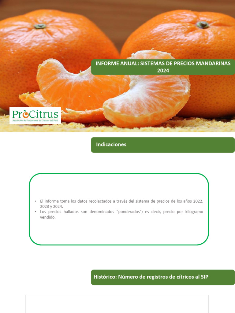 Informe Anual Precios Mandarinas 2024 | PDF | Frutas comestibles ...