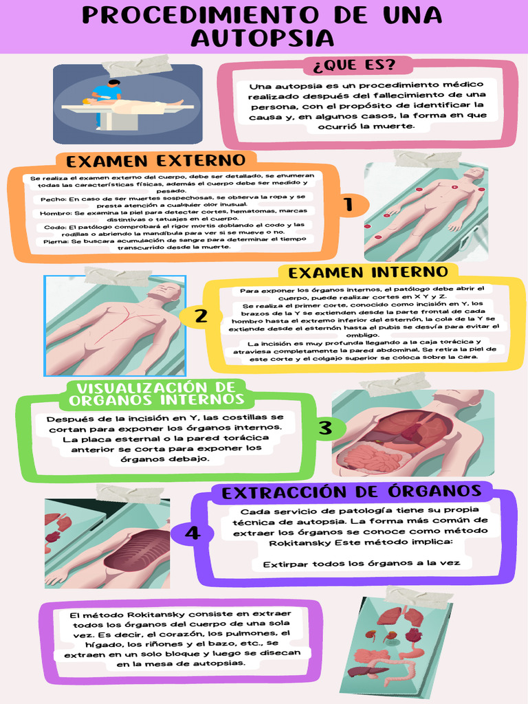 Procedimiento Completo de Autopsia | PDF | Autopsia | Anatomía