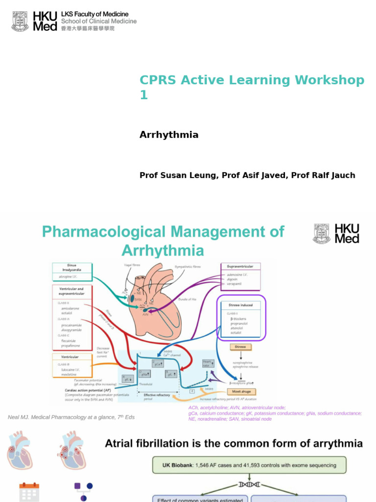 Section 1 Handout 2025 | PDF
