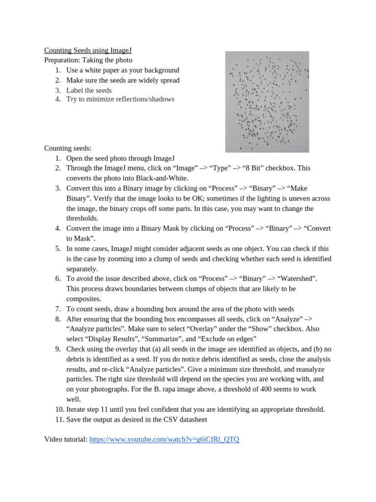 Count Seeds with ImageJ Tutorial | PDF