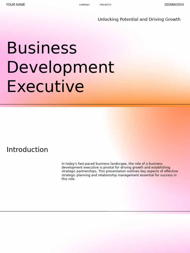 Business Development Executive Strategies | PDF | Target Audience ...