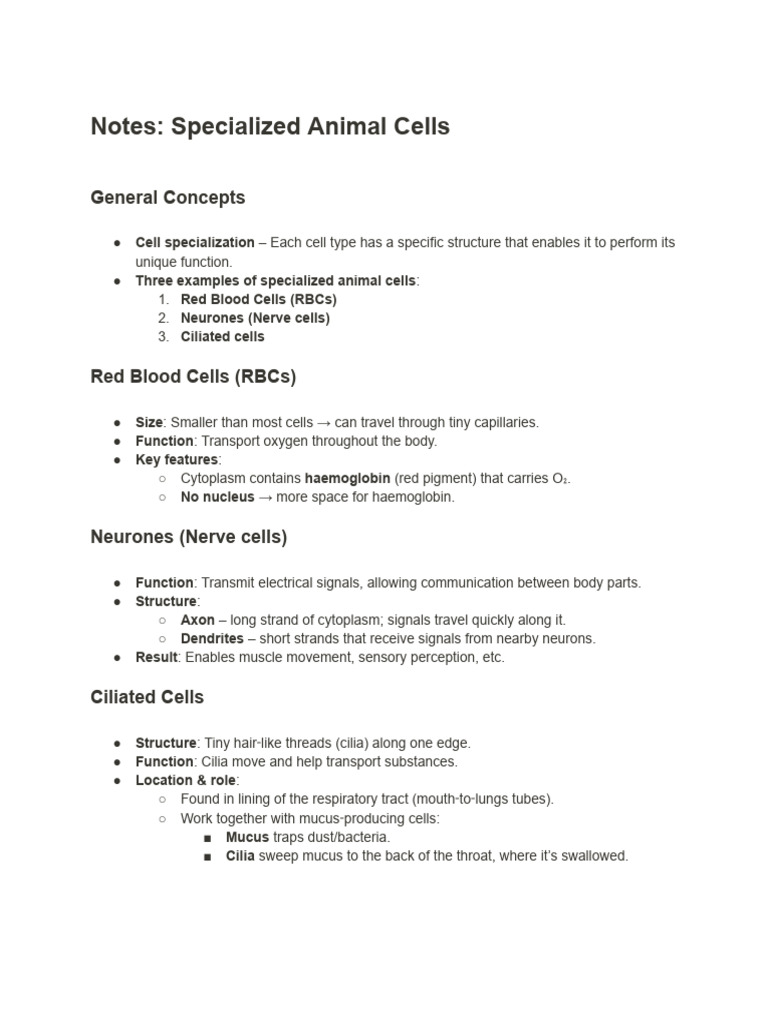 Notes - Specialized Animal Cells | PDF