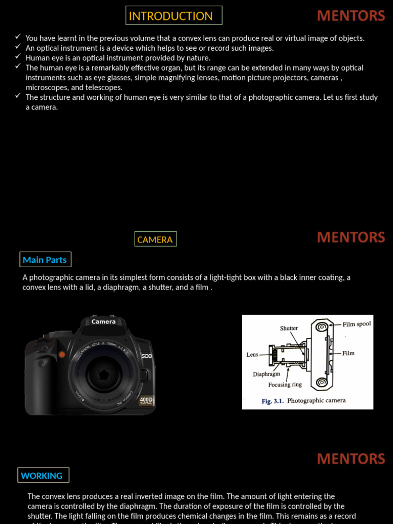 Human Eye vs. Camera: Structure & Function | PDF | Eye | Human Eye