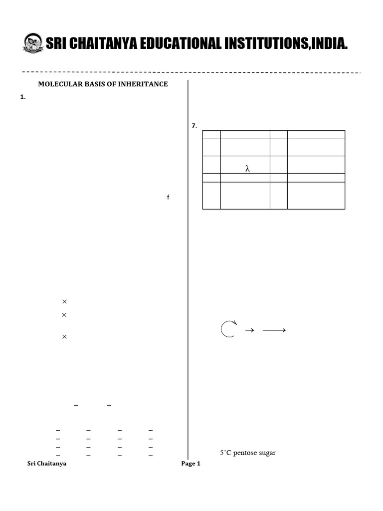 Molecular Basis of Inheritance Questions | PDF | Dna | Ribosomal Rna