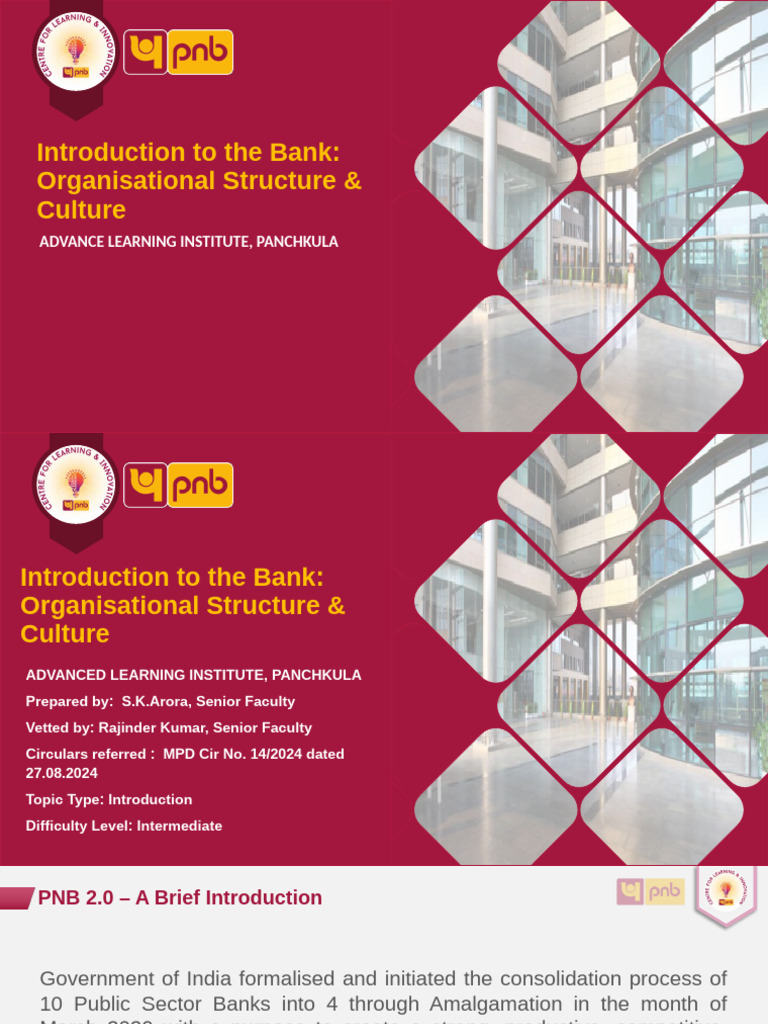 PNB Organizational Structure Overview | PDF | Banks | Economies