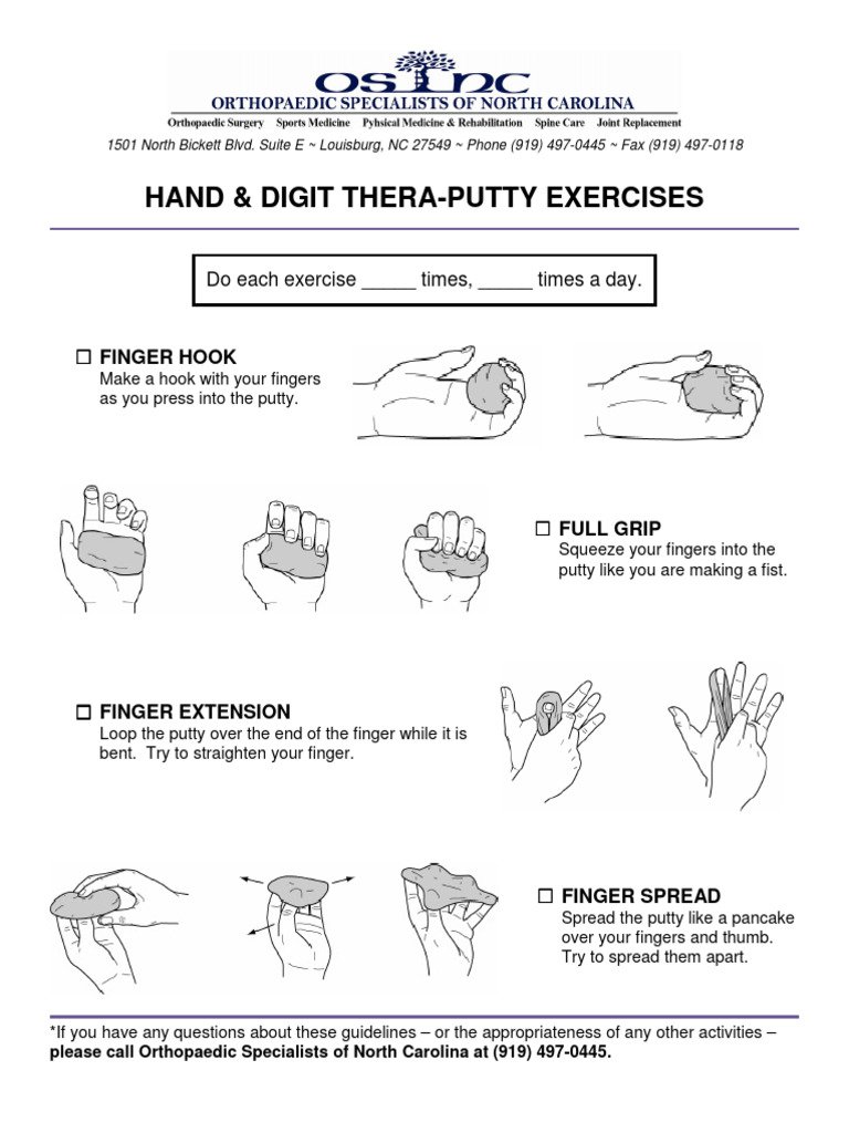 Hand Therapy Putty Exercises Guide | PDF | Thumb | Limbs (Anatomy)