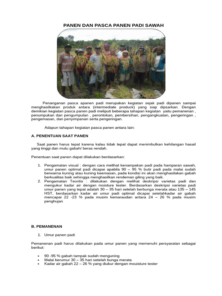 Panduan Lengkap Pasca Panen Padi | PDF