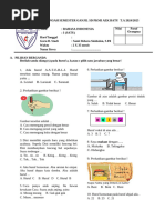 Coding PAUD 2-6 Tahun | PDF